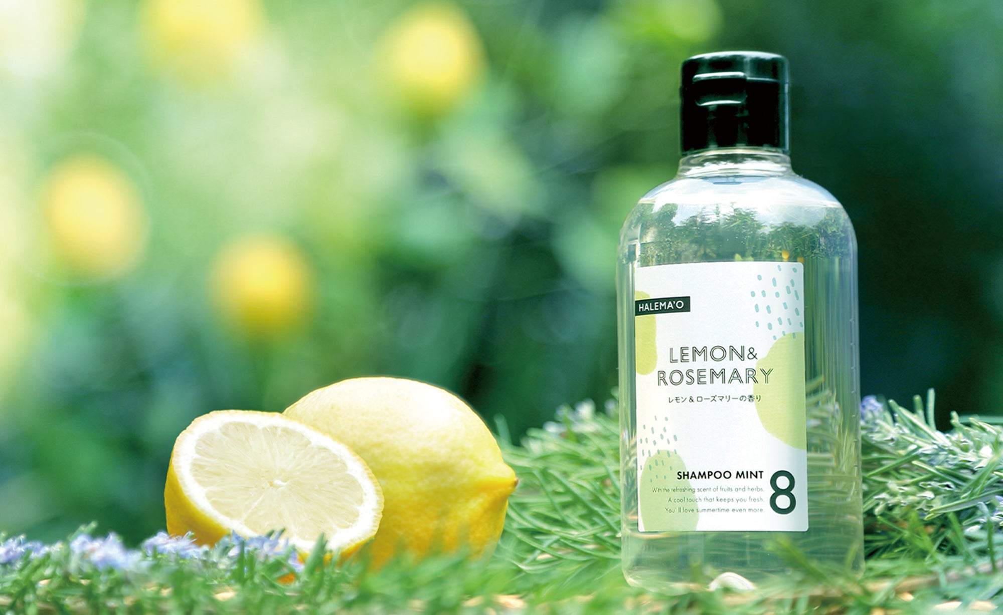 We offer a curated selection of top-quality Hair products. – The.D.studiO